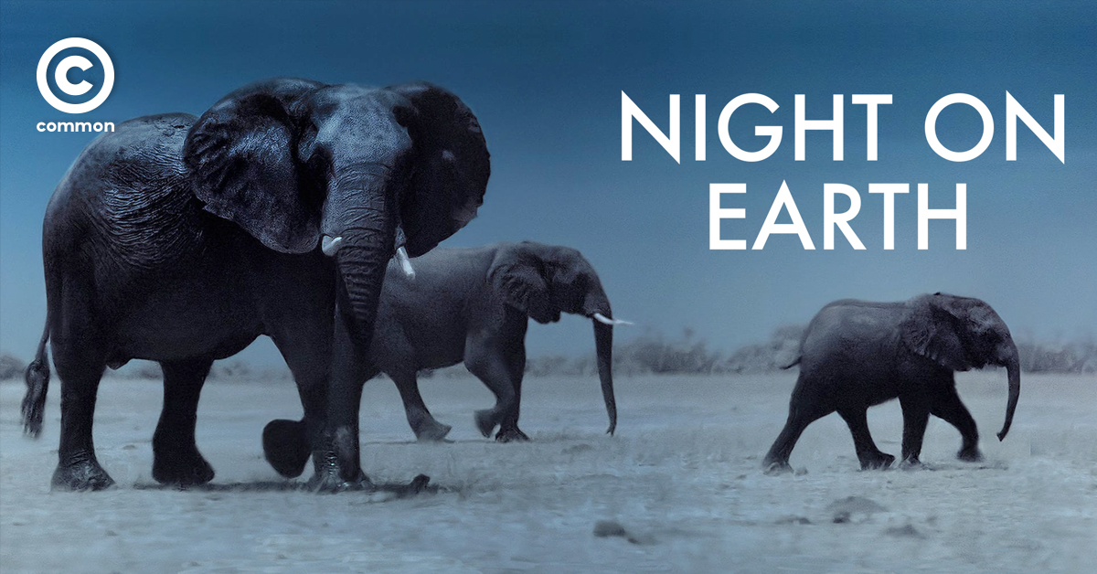 Night On Earth สารคดีที่ทำให้รู้ว่า โลกยามมืดมิดยังมีสิ่งงดงามซ่อนอยู่