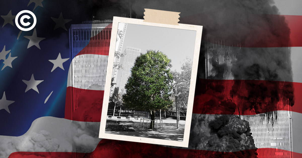 บทเรียนจาก Survivor Tree ต้นไม้ต้นเดียวที่รอดชีวิตจากเหตุการณ์ 9/11